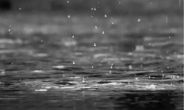 25 марта в Самарской области обещают +14 градусов и дождь | СОВА ...